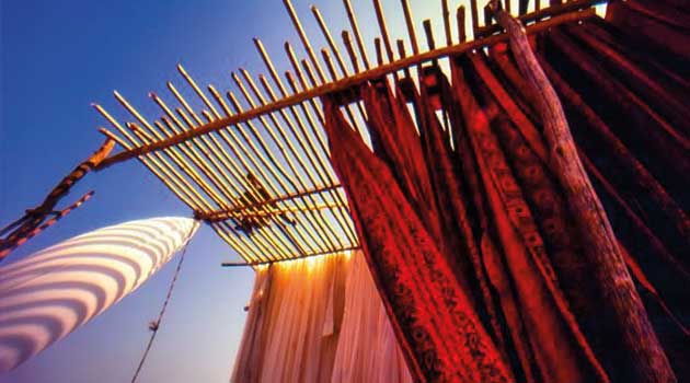 Global fibre production at an all-time high: report - Global fibre