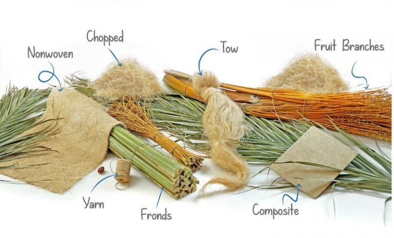 First Textile Palm Fibers and Reinforcements - Kohan Textile News