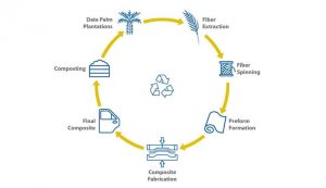 First Textile Palm Fibers and Reinforcements - Kohan Textile News
