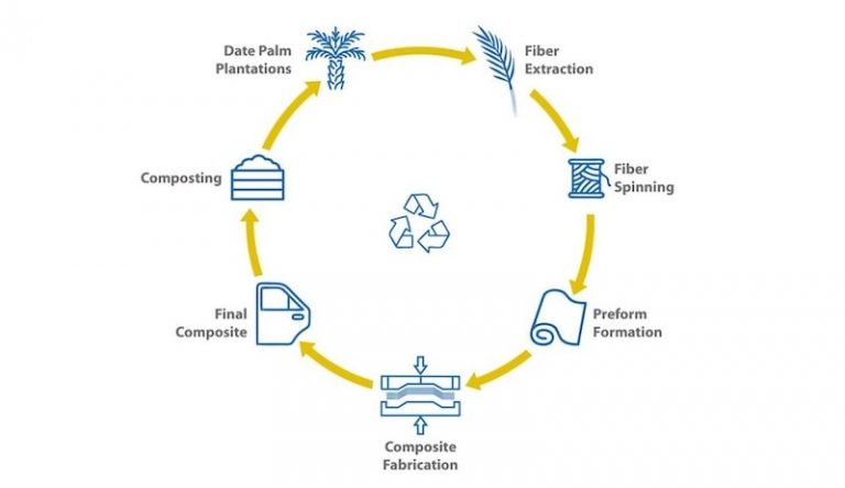 First Textile Palm Fibers and Reinforcements - Kohan Textile News