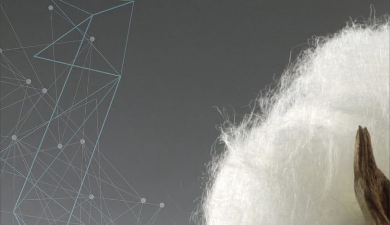 TAYAL a textile giant in North Africa