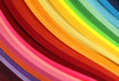 Cattail Textile Fiber and its Research Trend - Cattail fiber