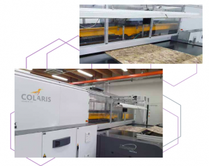 COLARIS camouflage printing