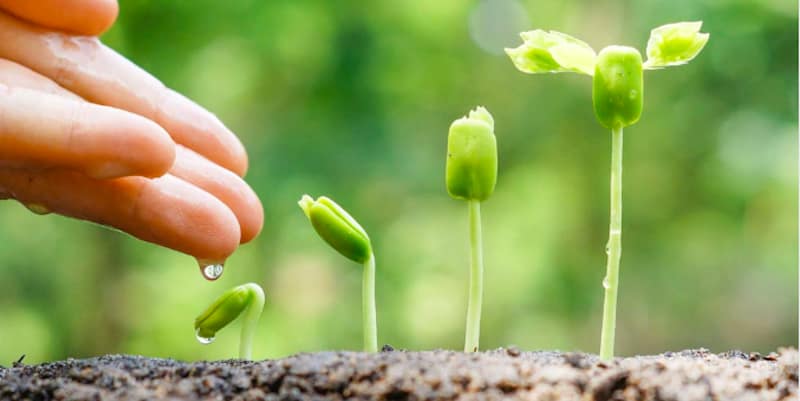 ULTRALUBE - additives with barrier function for less contaminated butter