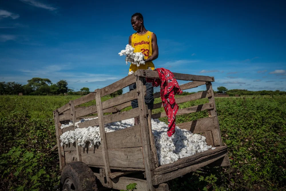Aid by Trade Foundation Promotes Sustainable Cotton Cashmere