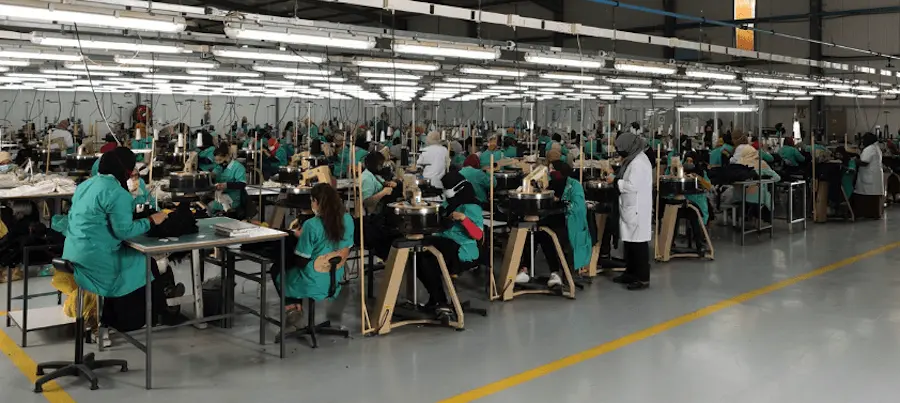 Tunicotex Group Adopts FastReactPlan for Production Planning