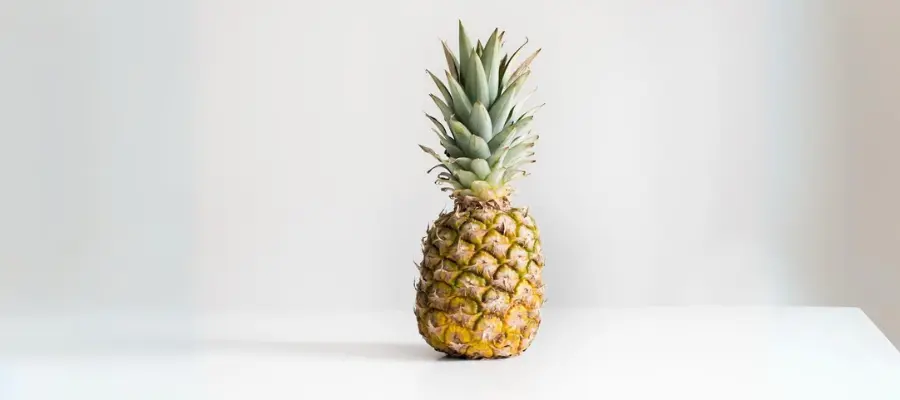 NEXTEVO Launches Groundbreaking ‘Ready-to-Spin’ Pineapple