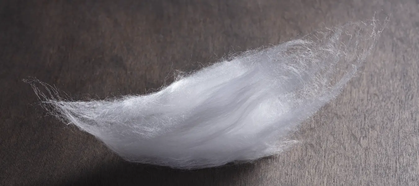 Lenzing Expands LENZING™ Lyocell Dry Fiber Portfolio