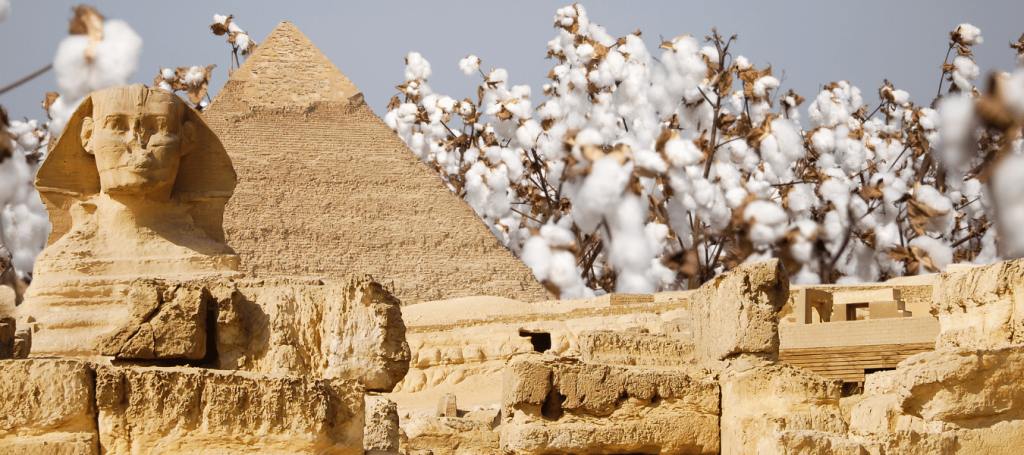Egyptian Garment Industry; It’s Much Bigger Than You Think! - Middle ...