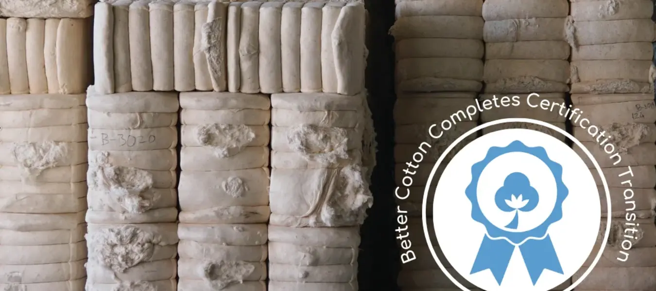 Better Cotton Completes Certification Transition