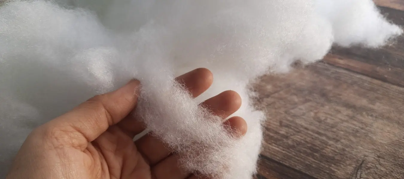 Tree-Free Fibers Transforming Textiles and Paper Industries